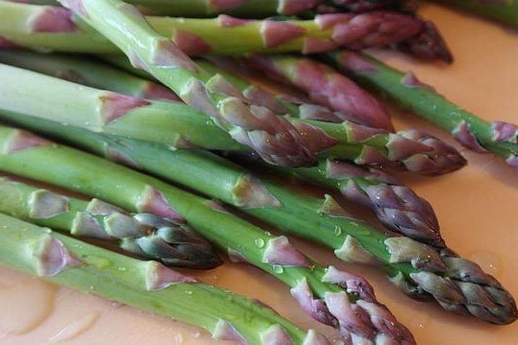 Stages of Asparagus Growth & Care (Stages + Pictures)