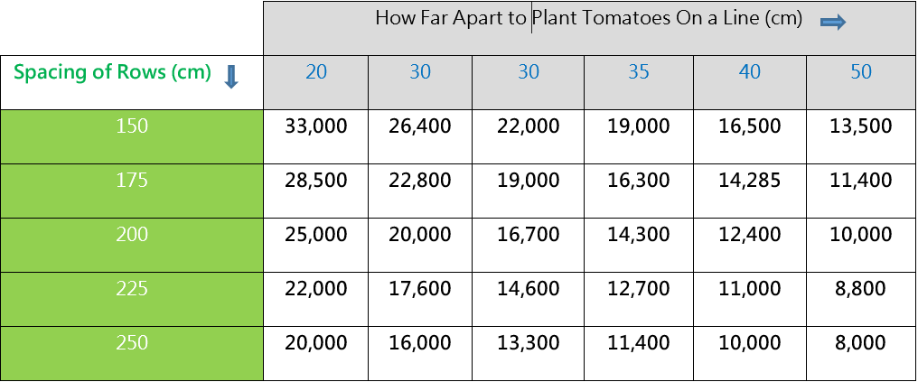 Tomato Plant Spacing Guide: Garden, Containers, Raised Bed or Open ...